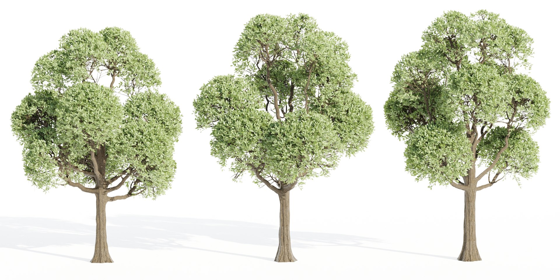 3D Model Outdoor Trees Collection Vol 93-Blender - TurboSquid 2133036