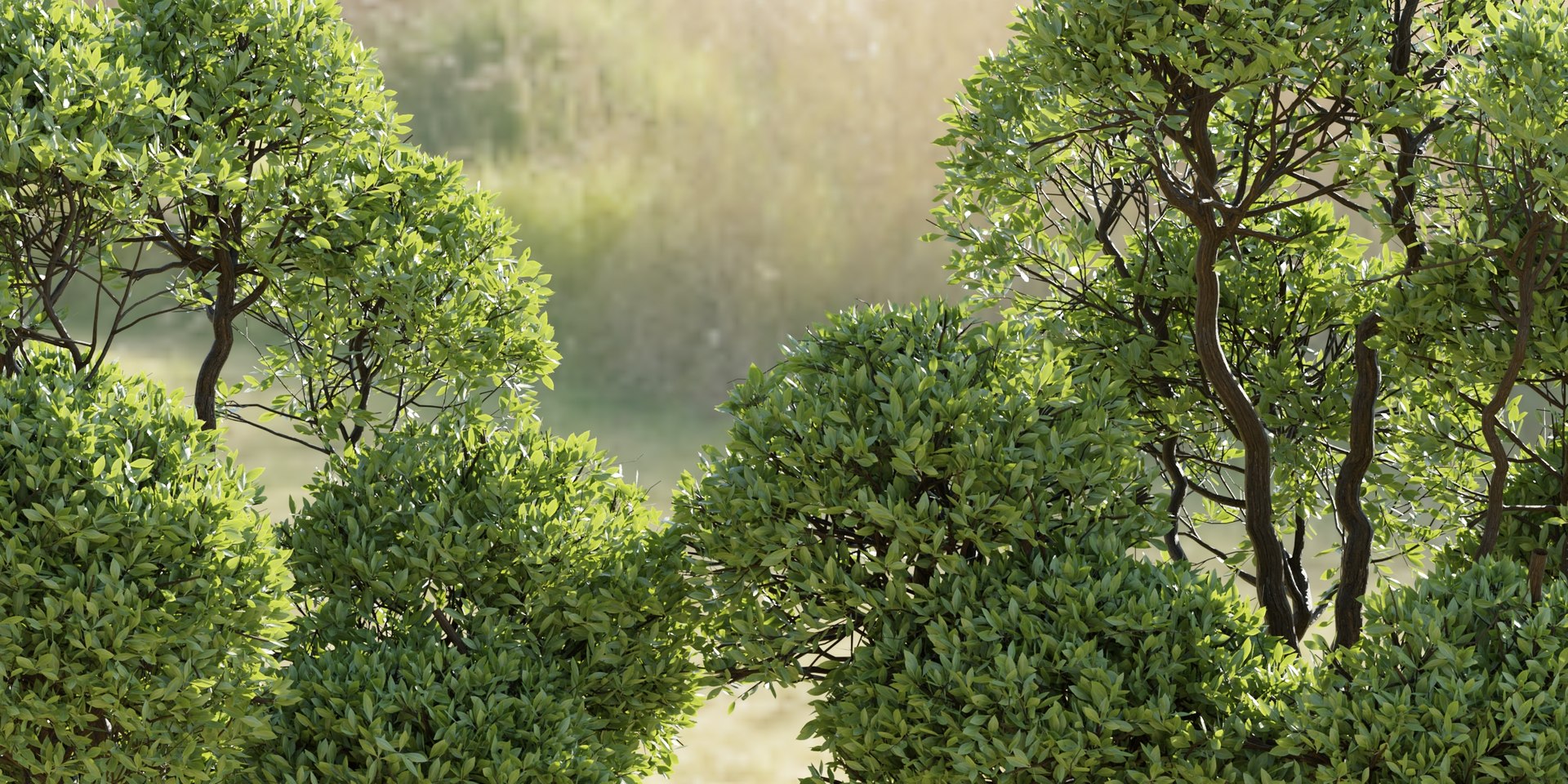 3D Model Outdoor Trees Collection Vol 93-Blender - TurboSquid 2133036