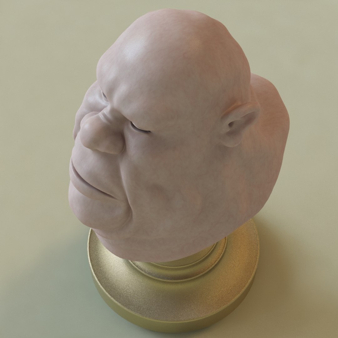 Fat Male Head 3d Model