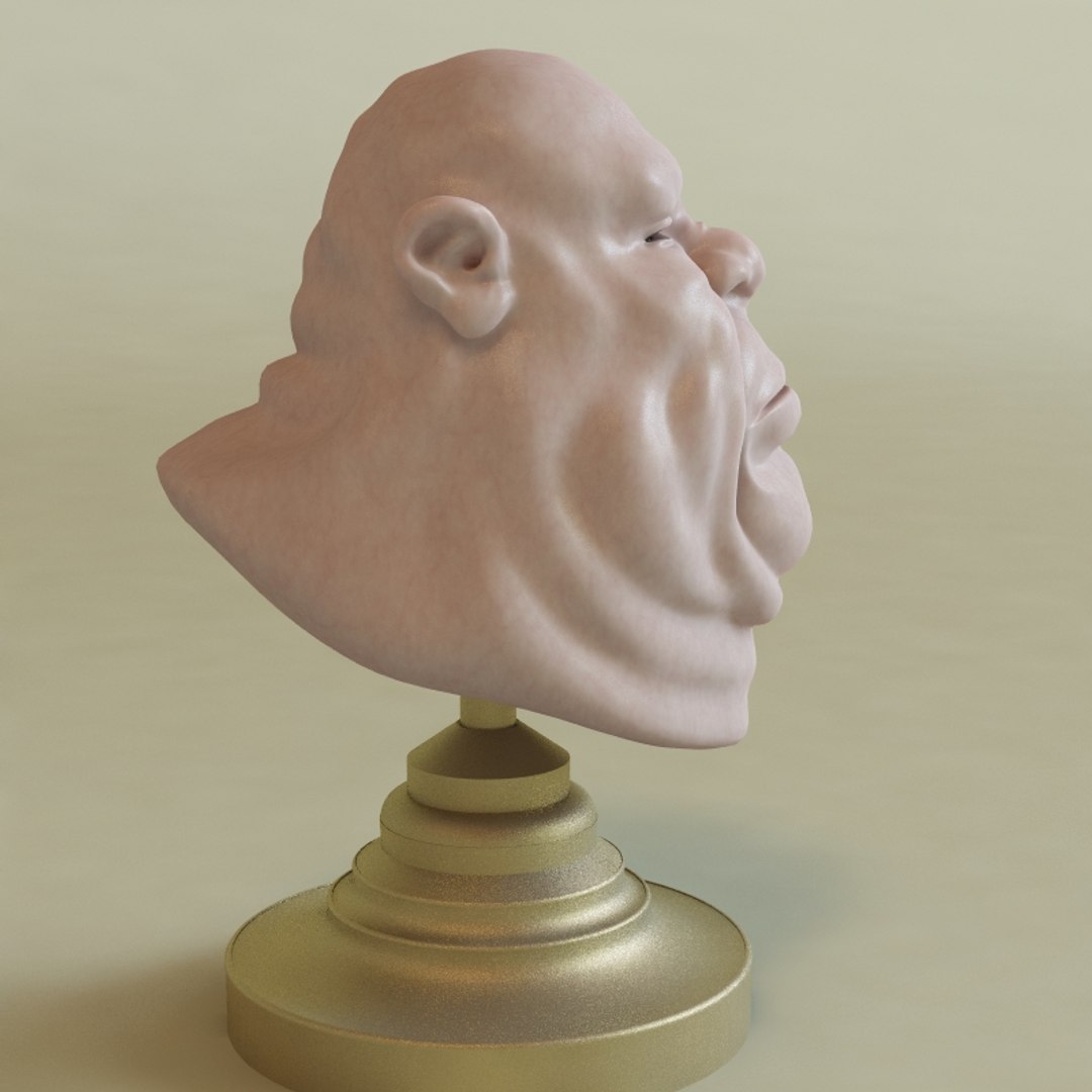 Fat Male Head 3d Model