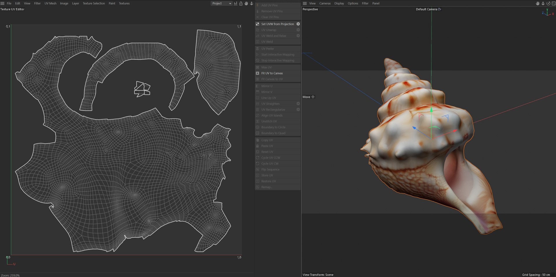 3D Model Conch Shell V7 - TurboSquid 2370736