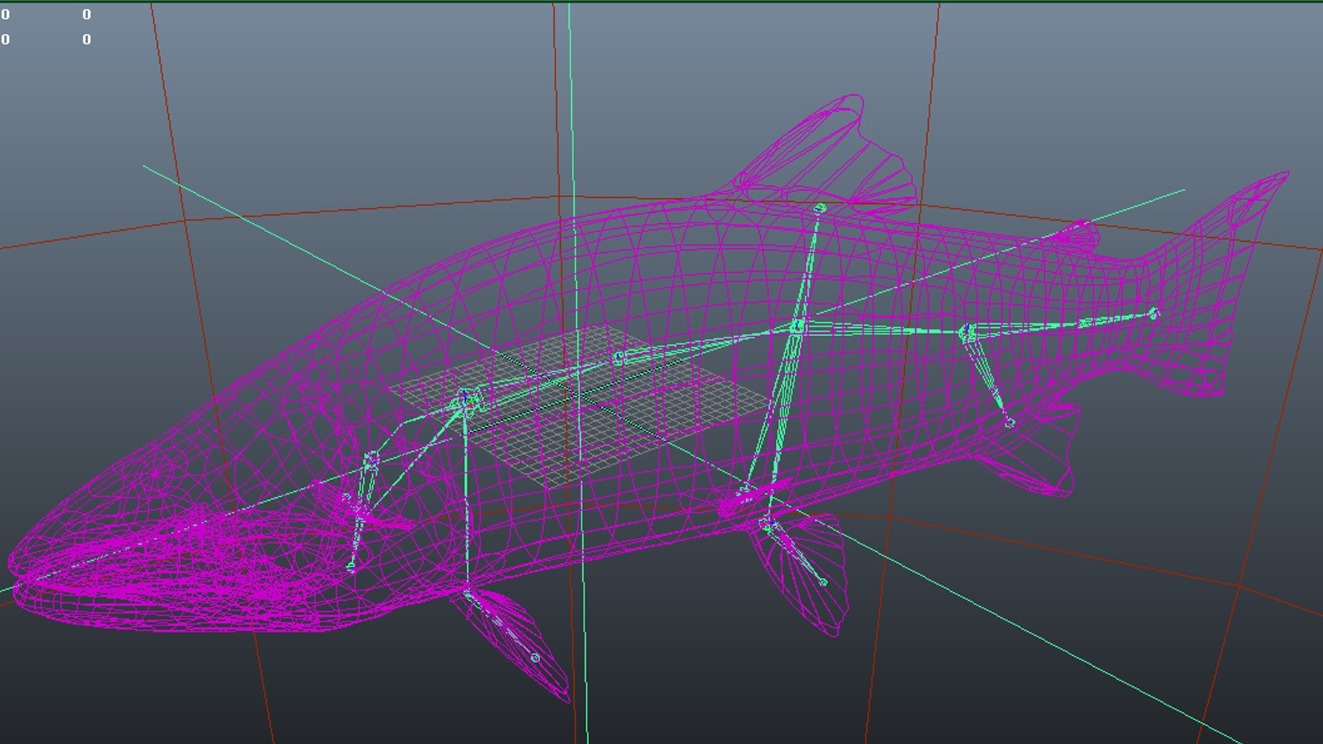 Trout Rainbow 3D Model - TurboSquid 2198388