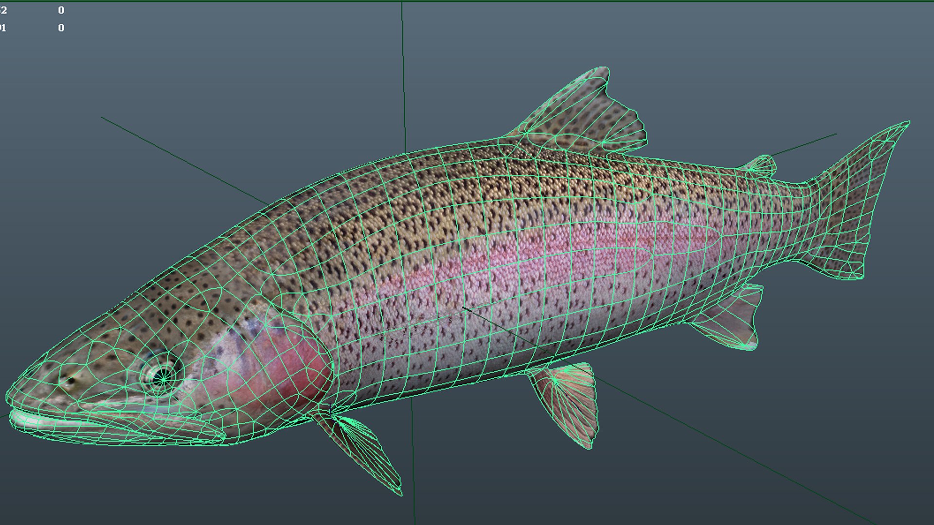 Trout Rainbow 3D Model - TurboSquid 2198388