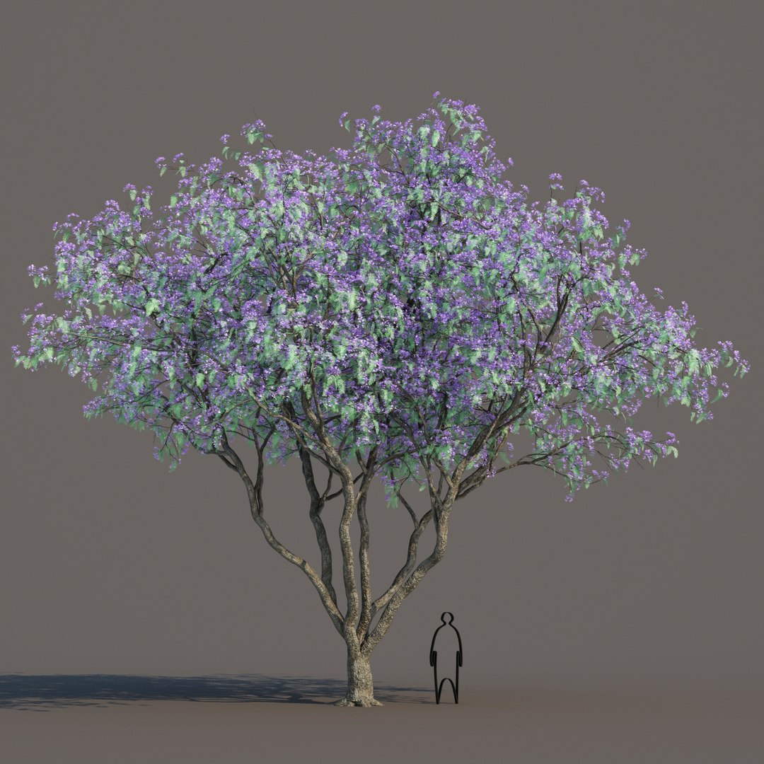 3D Tree Flower - TurboSquid 1544062