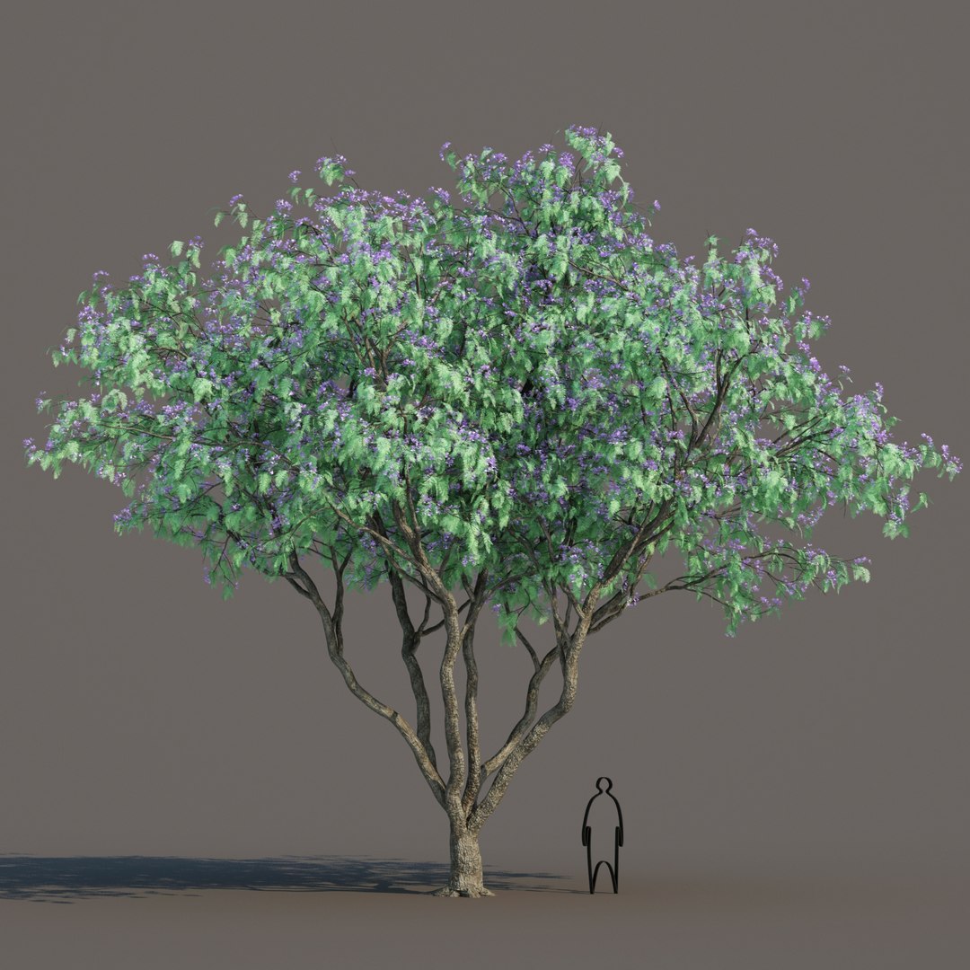 3D Tree Flower - TurboSquid 1544062