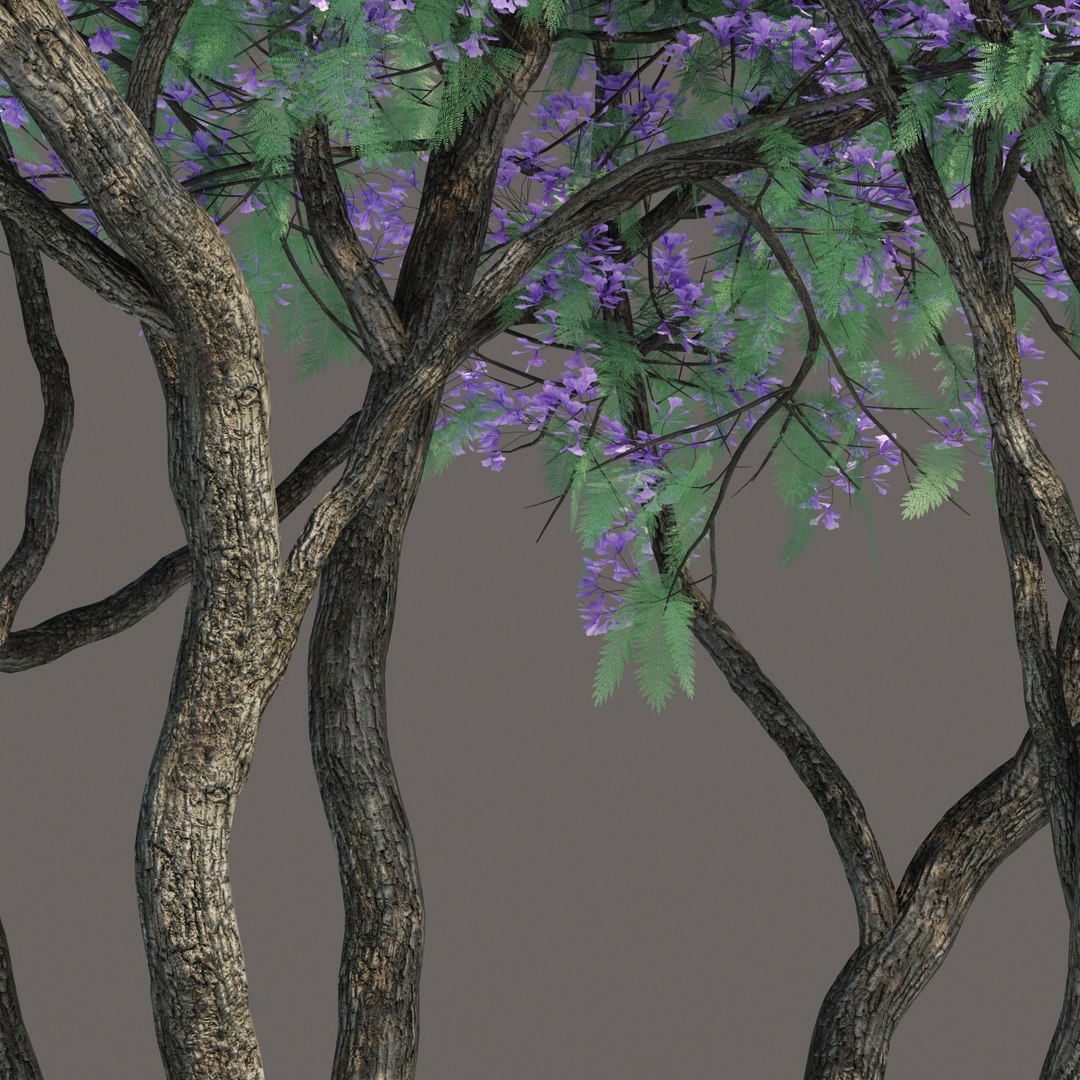 3D Tree Flower - TurboSquid 1544062