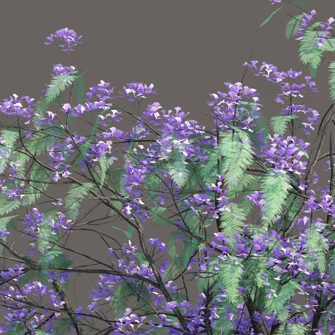 3D Tree Flower - TurboSquid 1544062