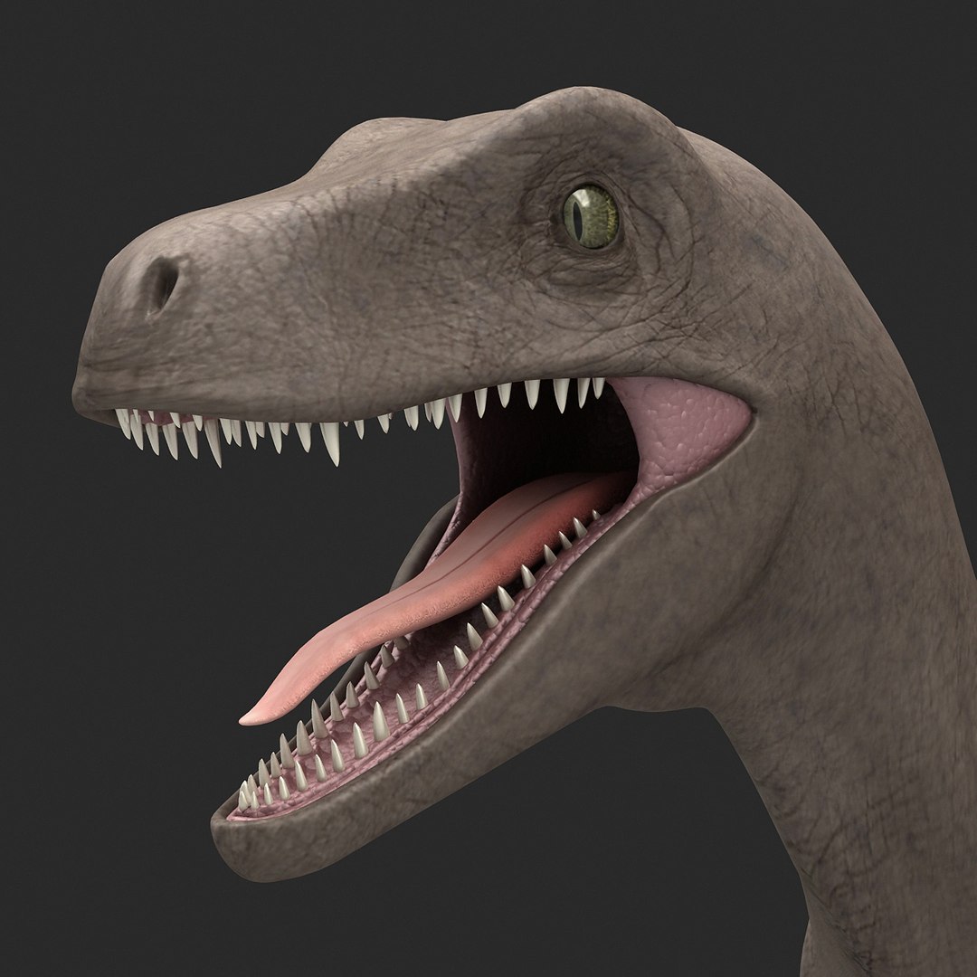 Velociraptor Dinosaur Din00 3d C4d
