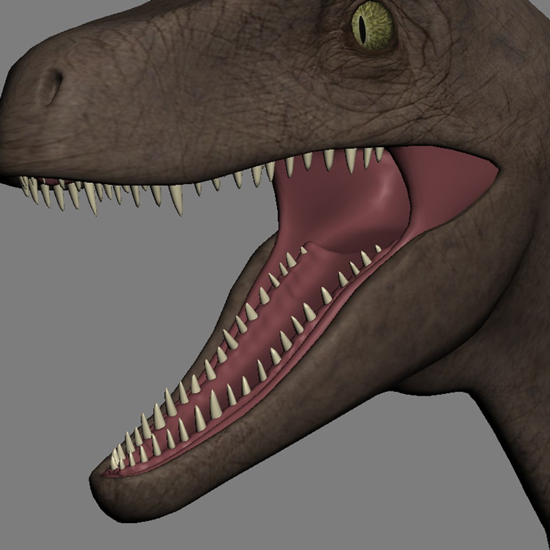 Velociraptor Dinosaur Din00 3d C4d
