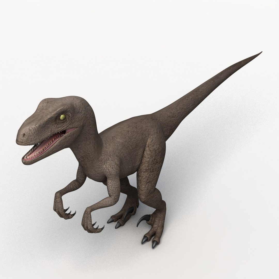 Velociraptor Dinosaur Din00 3d C4d