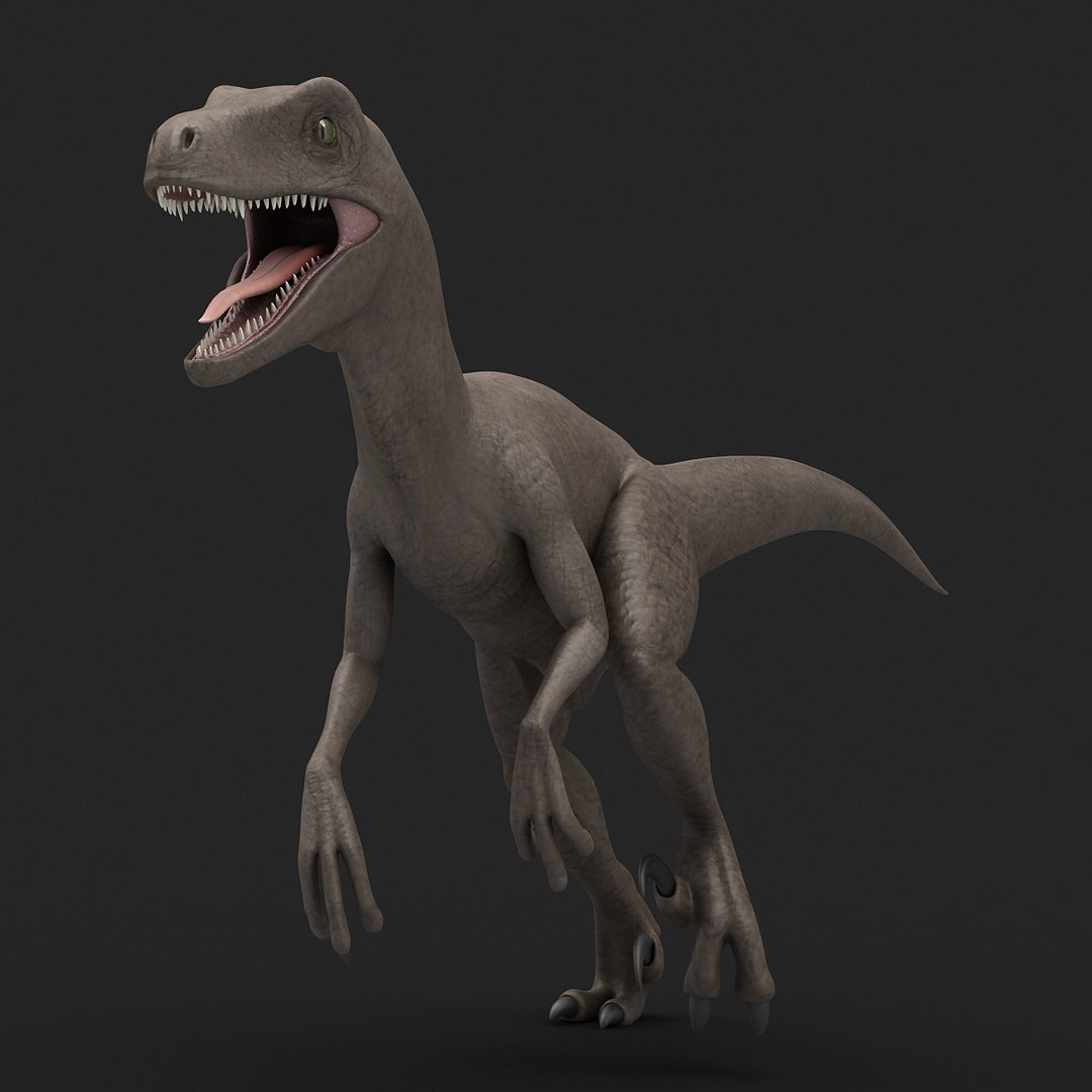 Velociraptor Dinosaur Din00 3d C4d