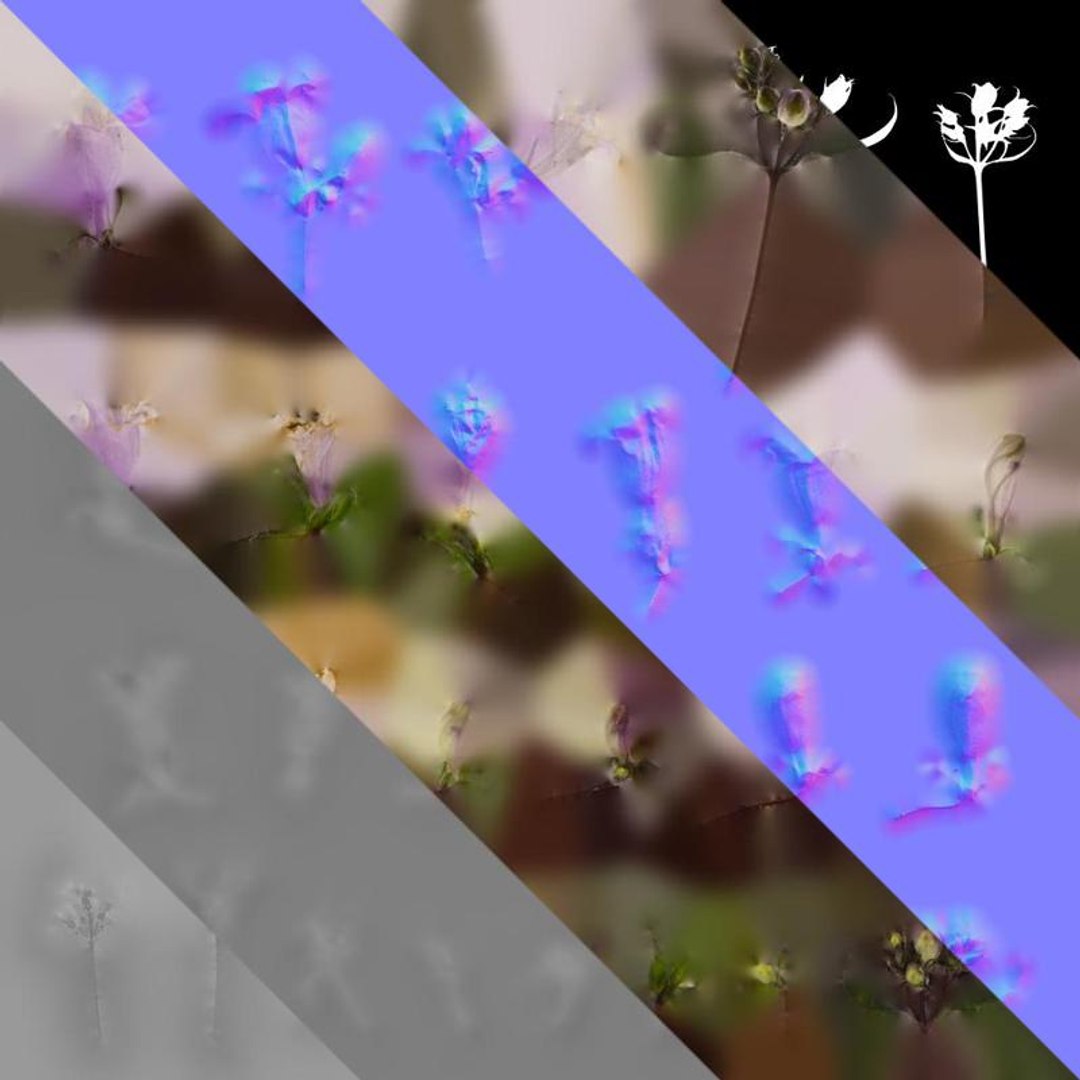 3D Anydrafts Penstemon Digitalis Flower 03 Textures - TurboSquid 2357658