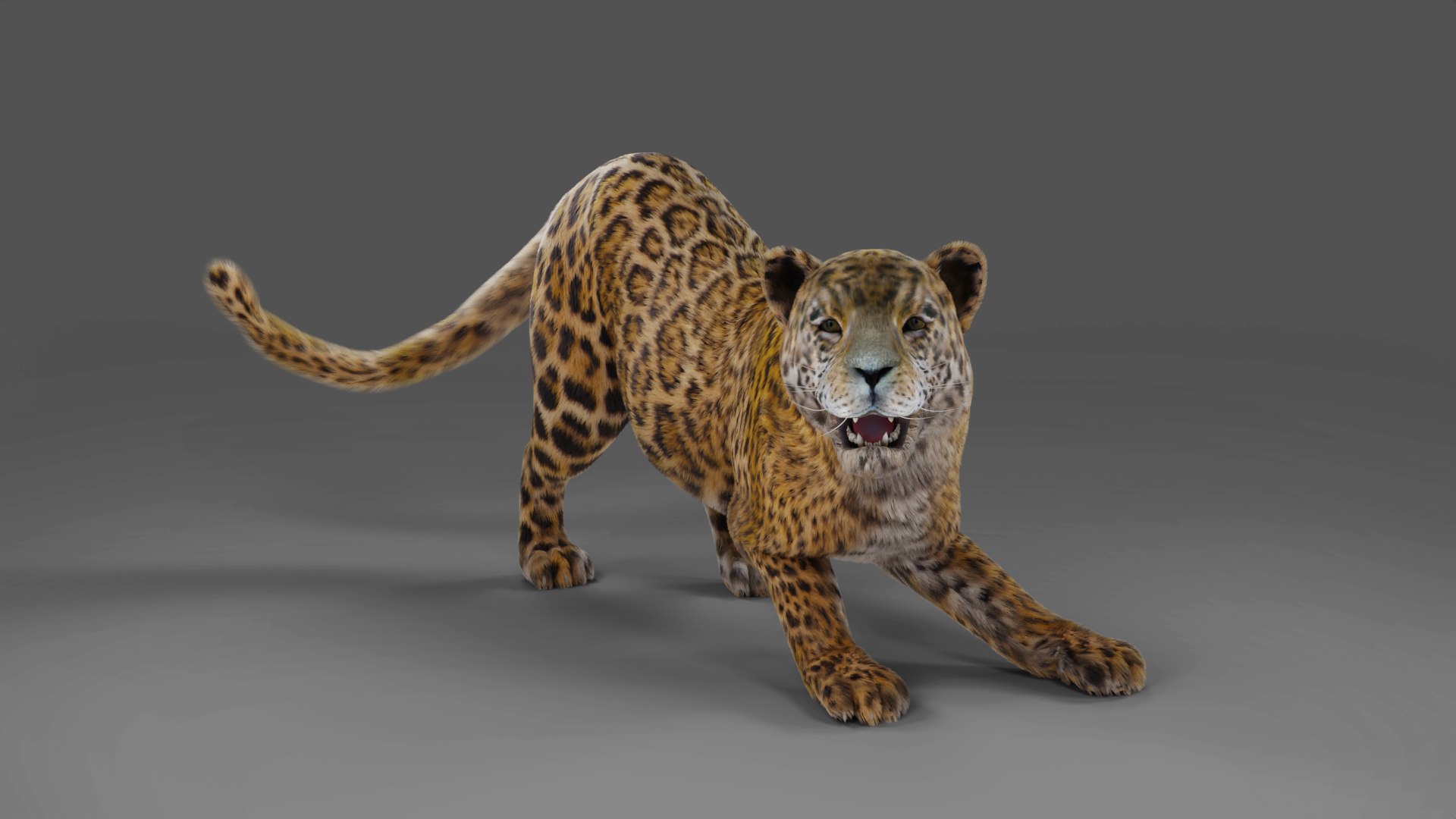 Fur Jaguar V2 Rigged Animation In Blender - Unity Model - TurboSquid 2092664