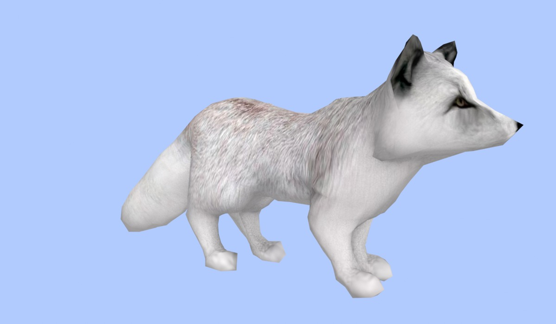 Arctic Fox Max