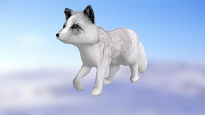 3D Arctic Fox Models - Browse & Download Formats - TurboSquid