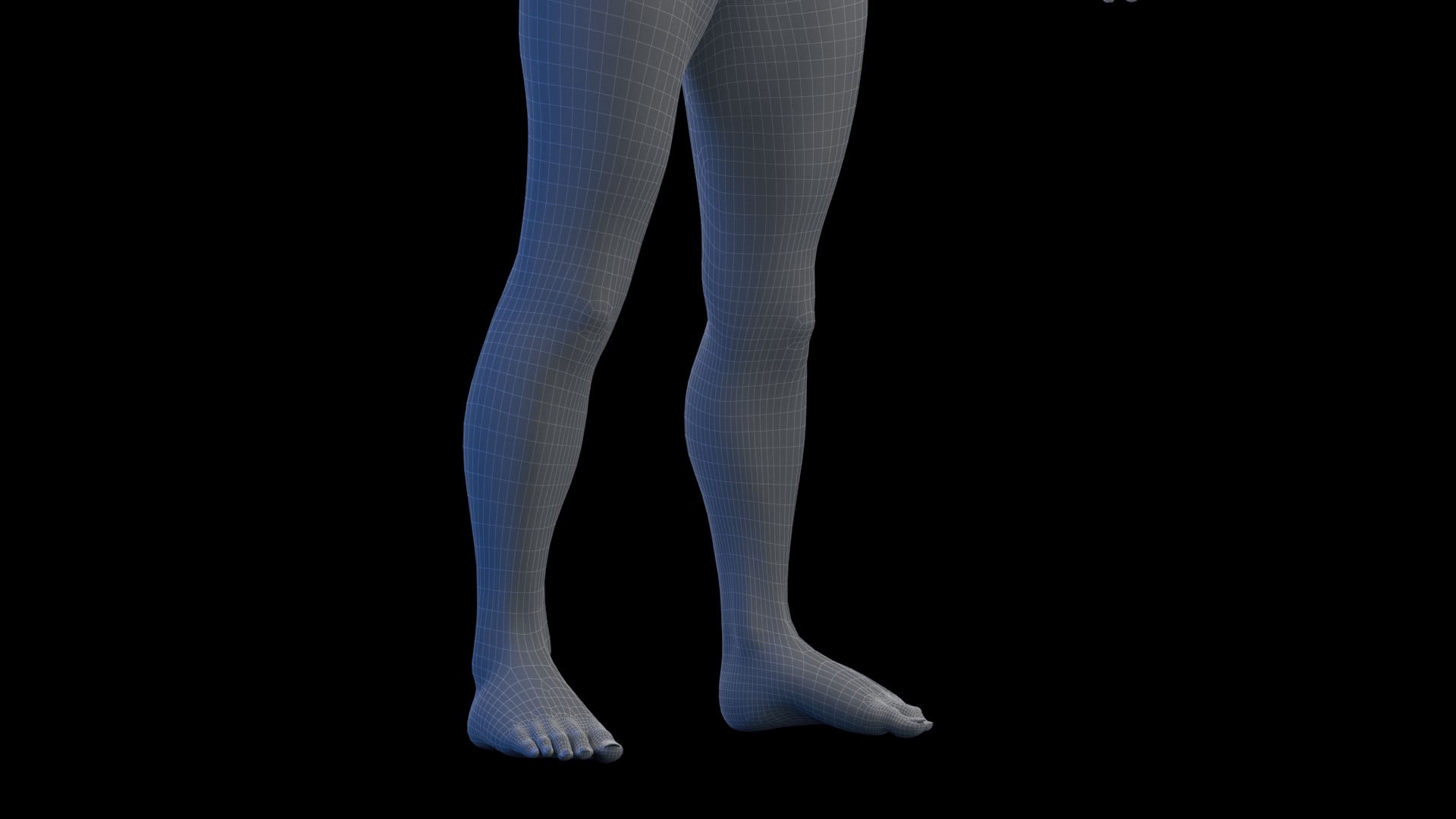 Homo Erectus Female 3D Model - TurboSquid 2100005