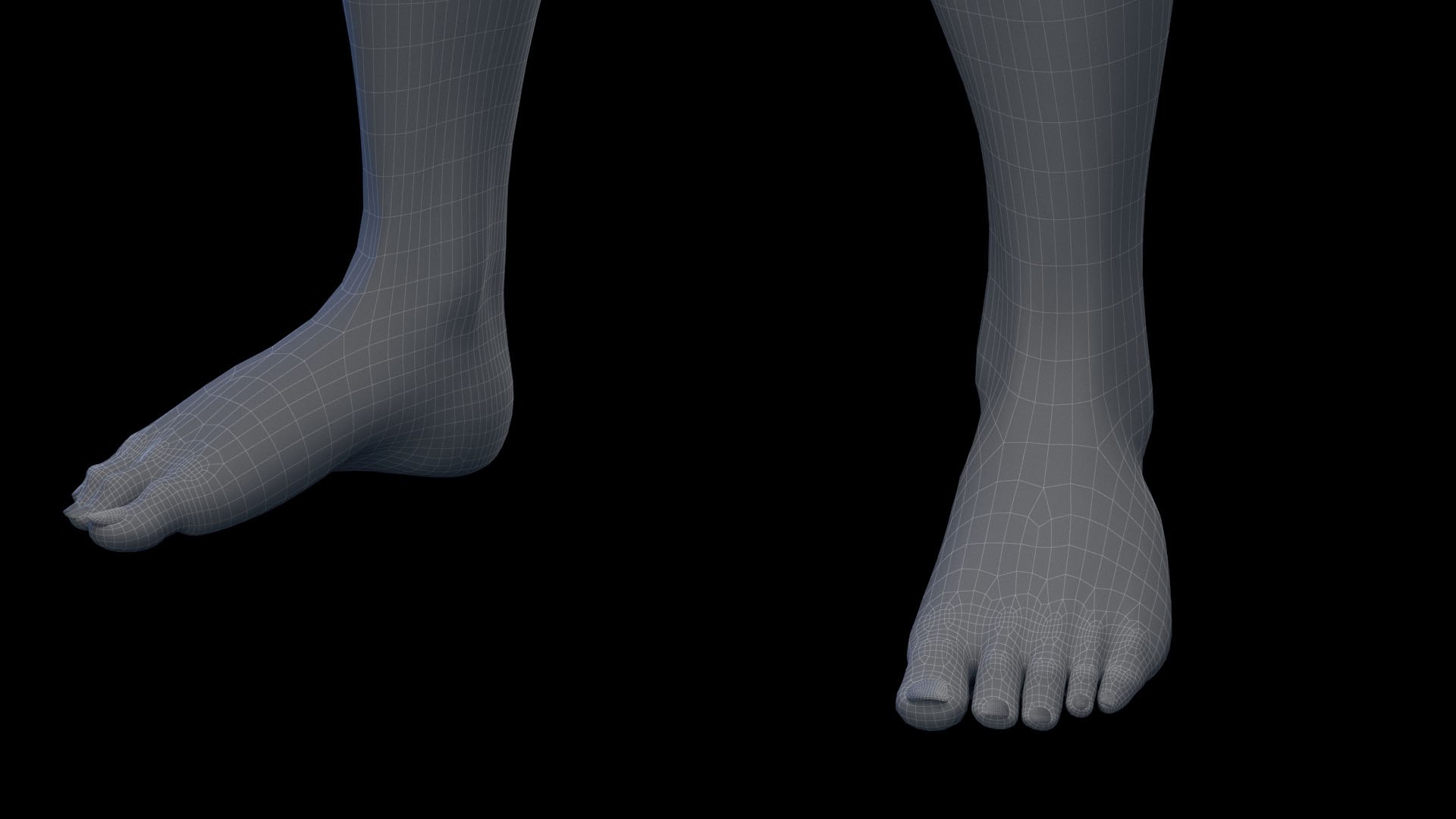 Homo Erectus Female 3D Model - TurboSquid 2100005