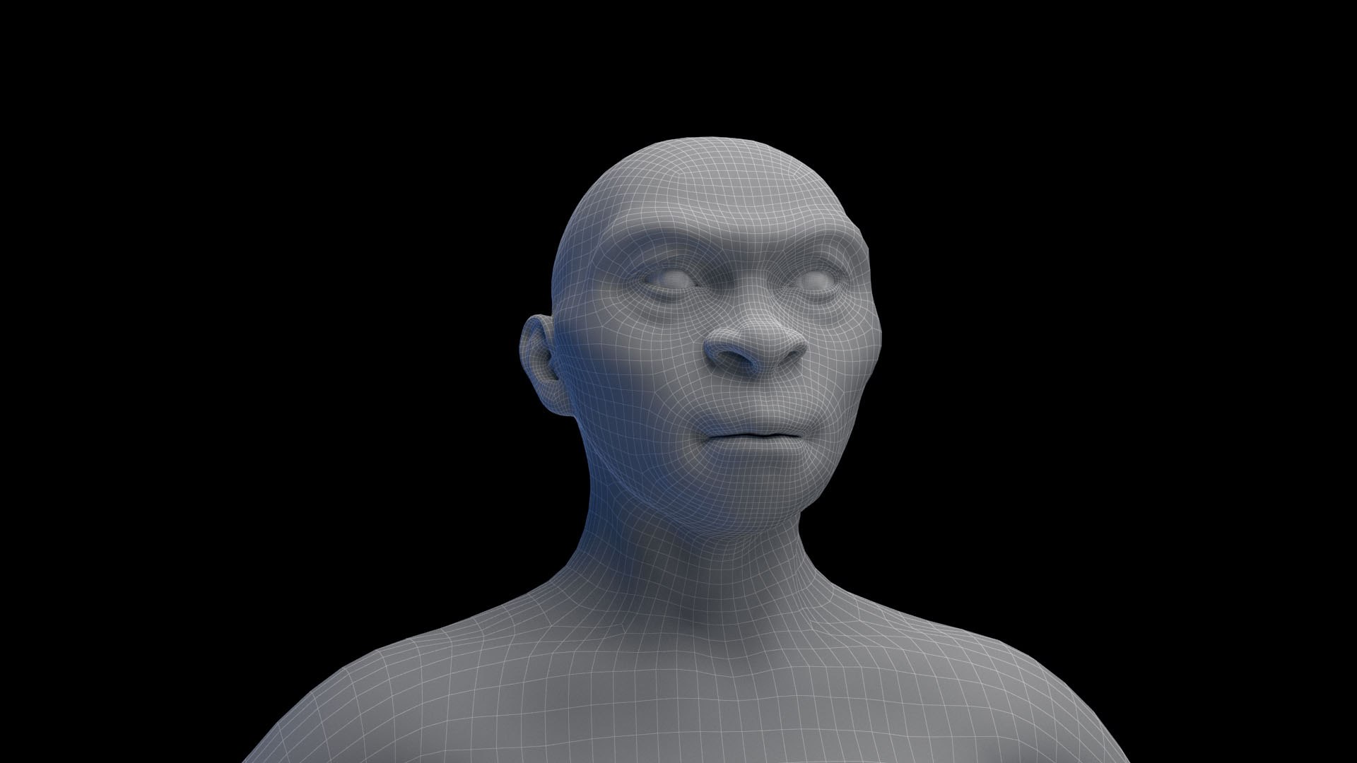 Homo Erectus Female 3D Model - TurboSquid 2100005