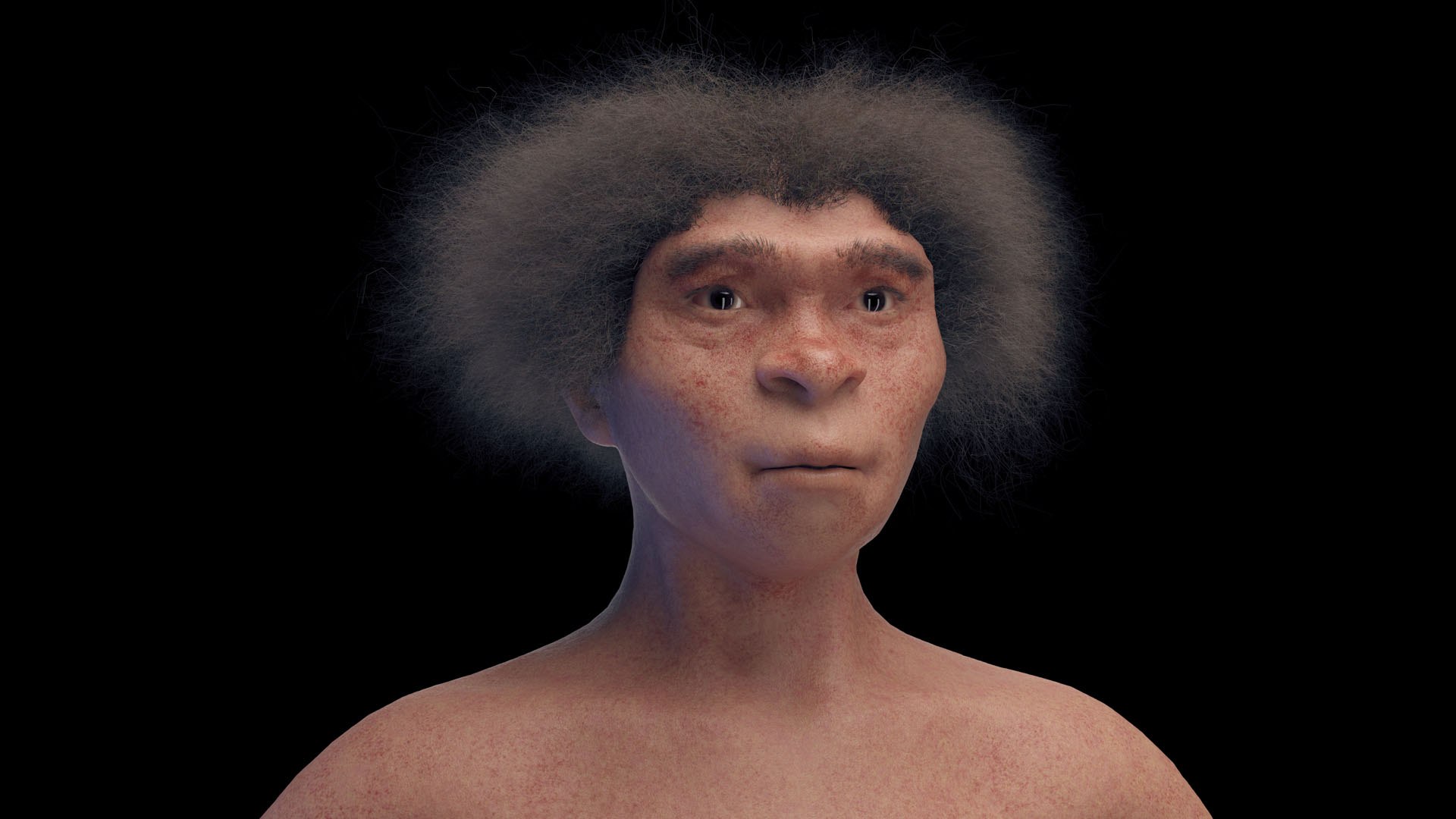 Homo Erectus Female 3D Model - TurboSquid 2100005