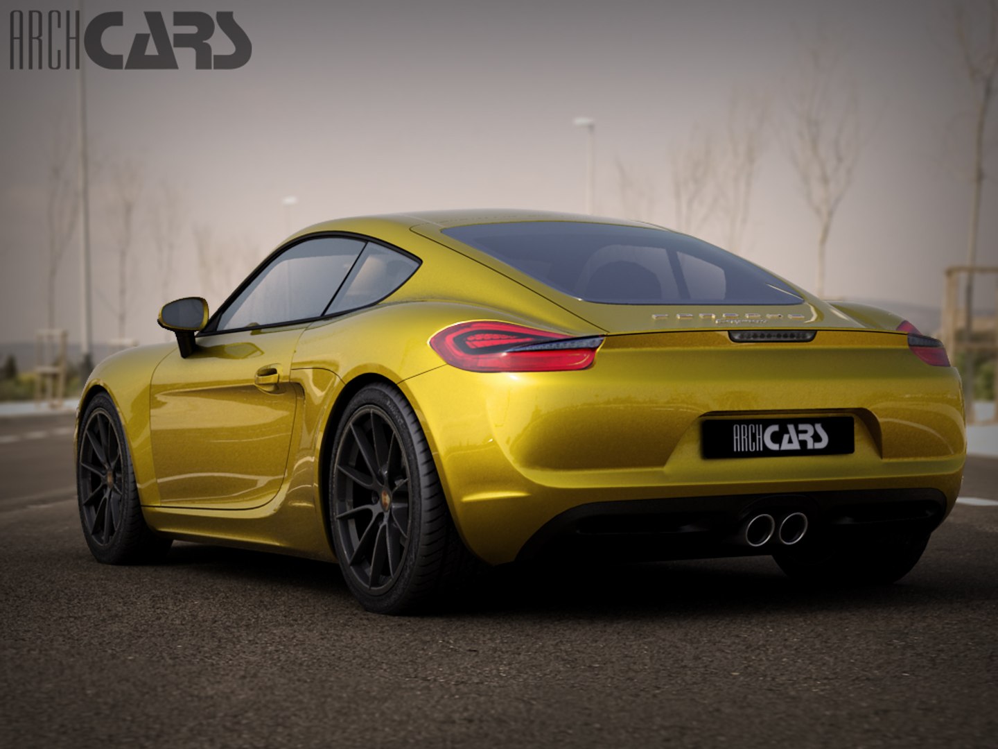 Porsche Cayman 3d Model