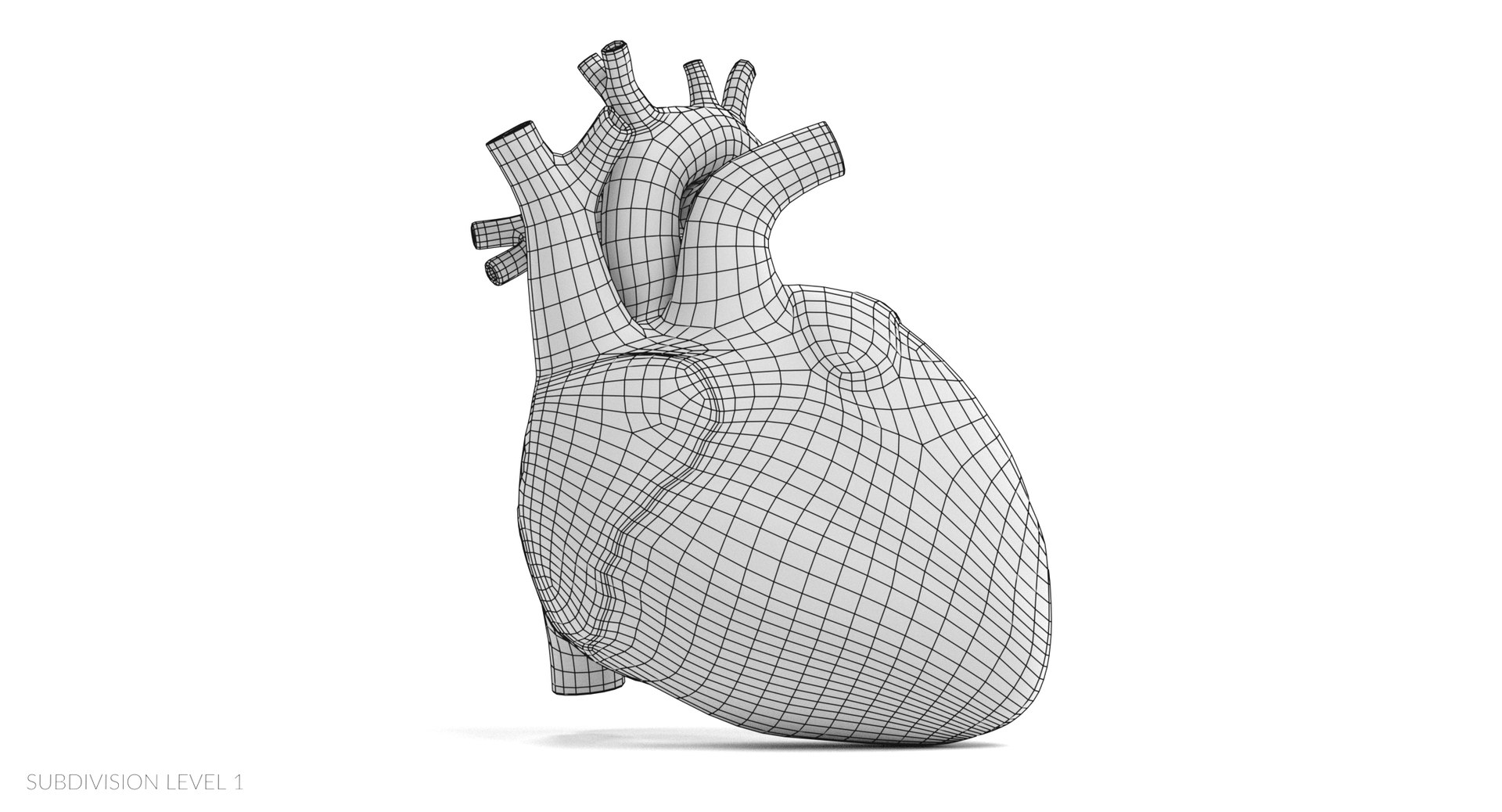 3D Human Heart Model - TurboSquid 1257221