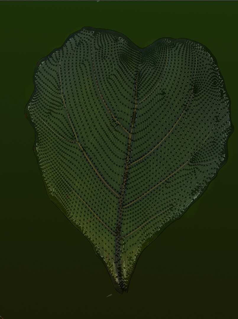 Green Plant 3D Model - TurboSquid 1635245