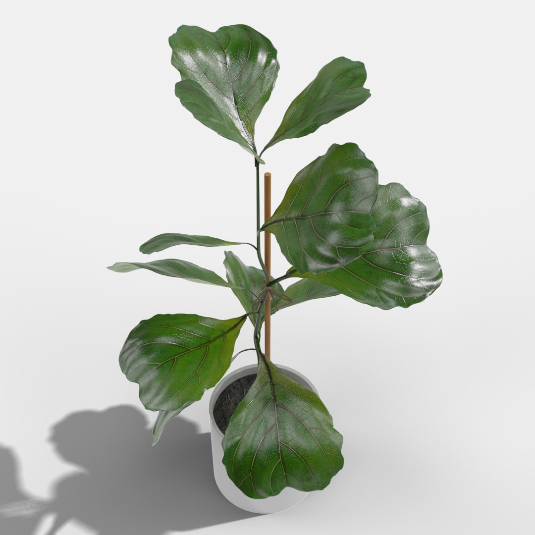 Green Plant 3D Model - TurboSquid 1635245