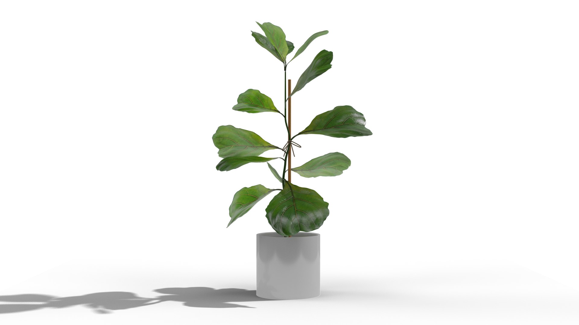 Green Plant 3D Model - TurboSquid 1635245