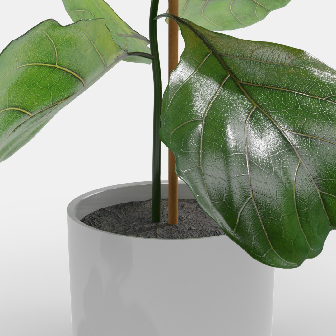 Green Plant 3D Model - TurboSquid 1635245