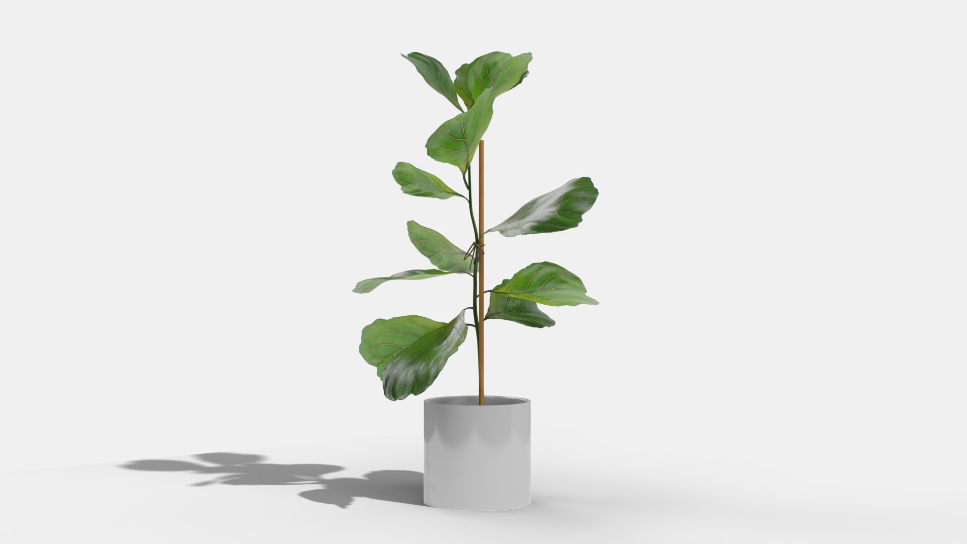 Green Plant 3D Model - TurboSquid 1635245