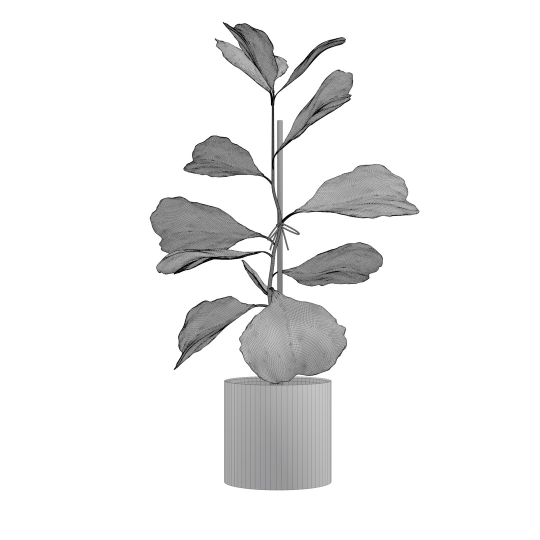 Green Plant 3D Model - TurboSquid 1635245