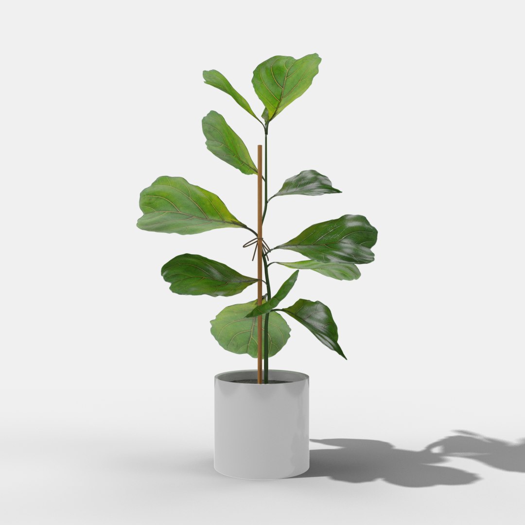 Green Plant 3D Model - TurboSquid 1635245