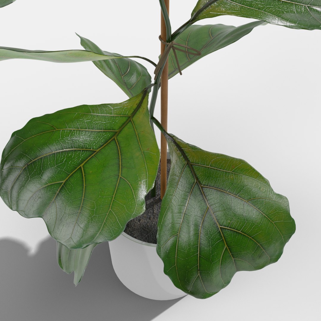 Green Plant 3D Model - TurboSquid 1635245