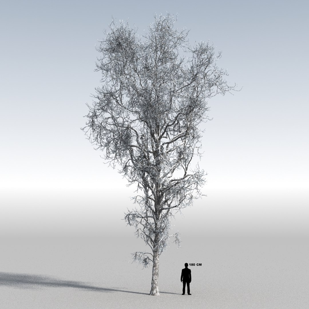 free tree forest rainforest 3d model