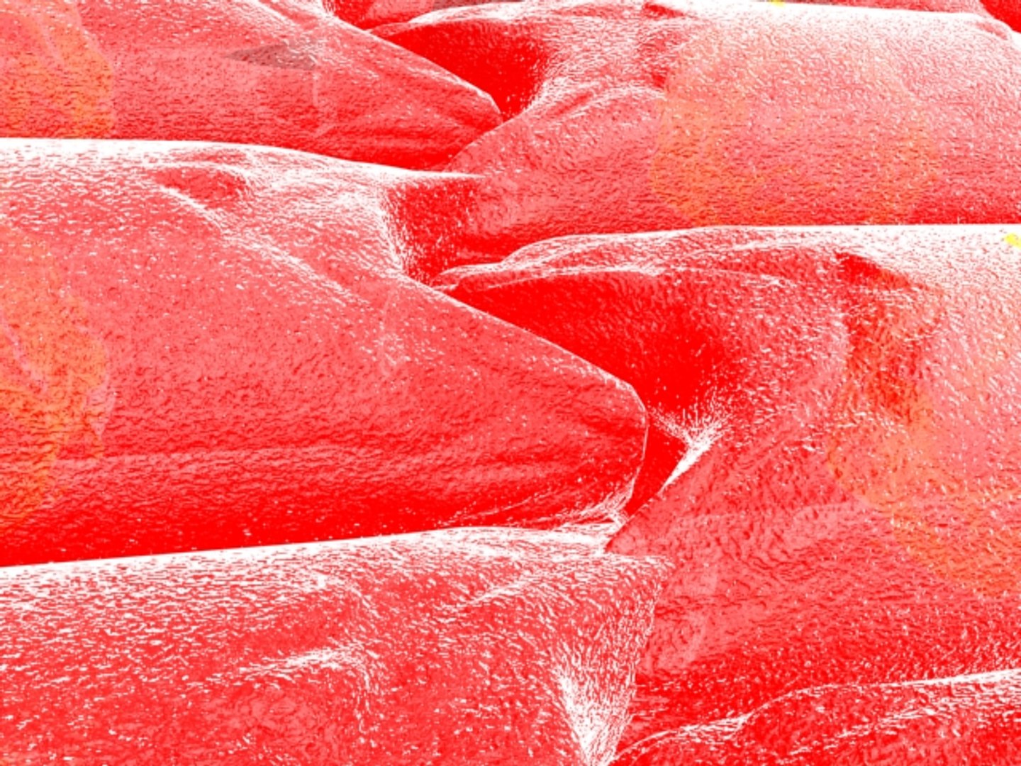 Muscle Cell 3d Model