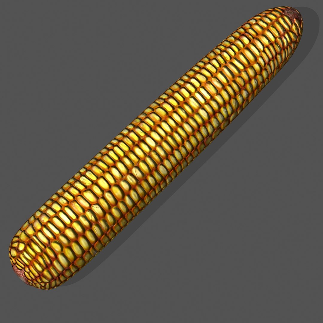 3d Indian Corn Model