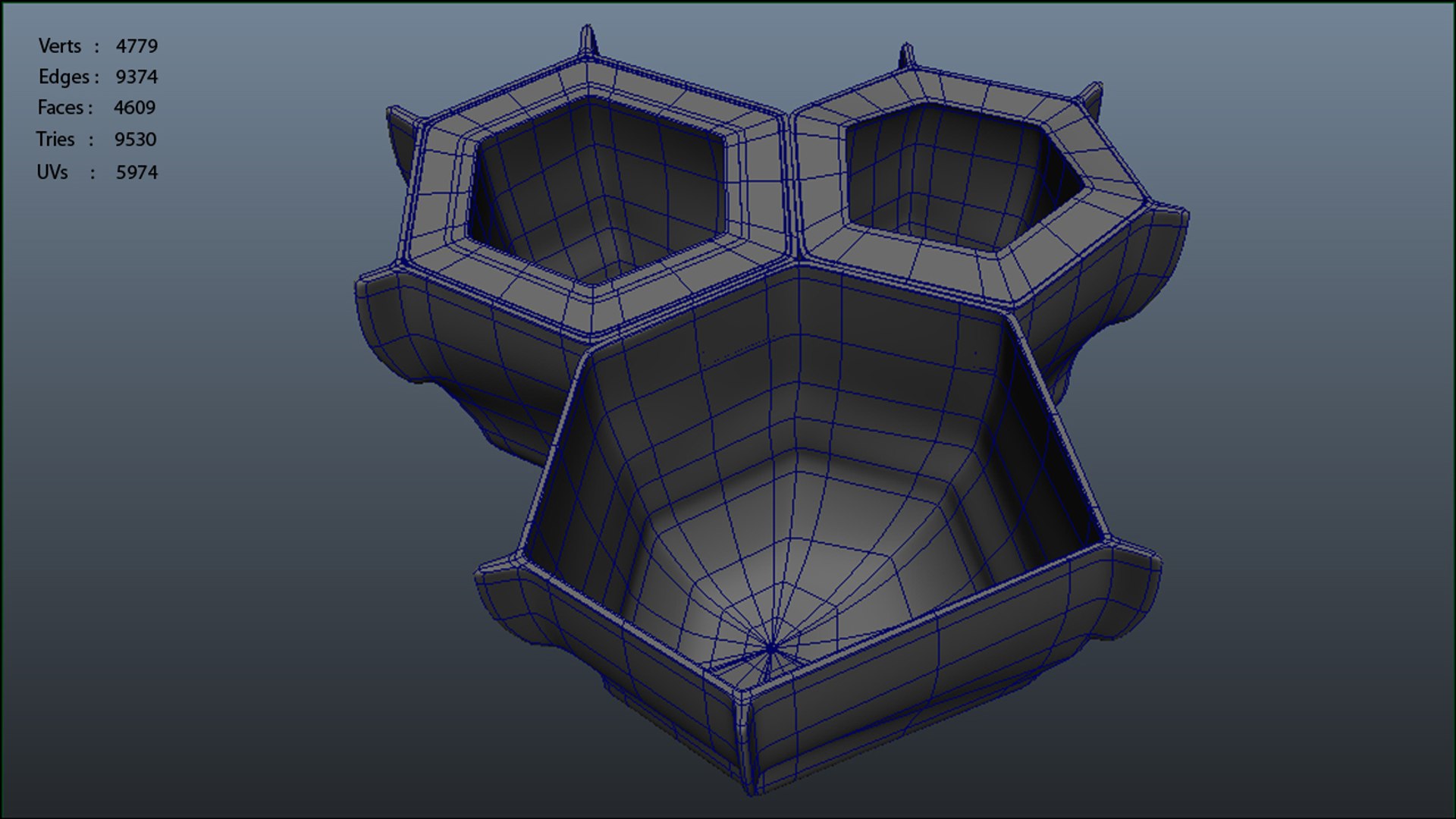 3d Cell Wall Model