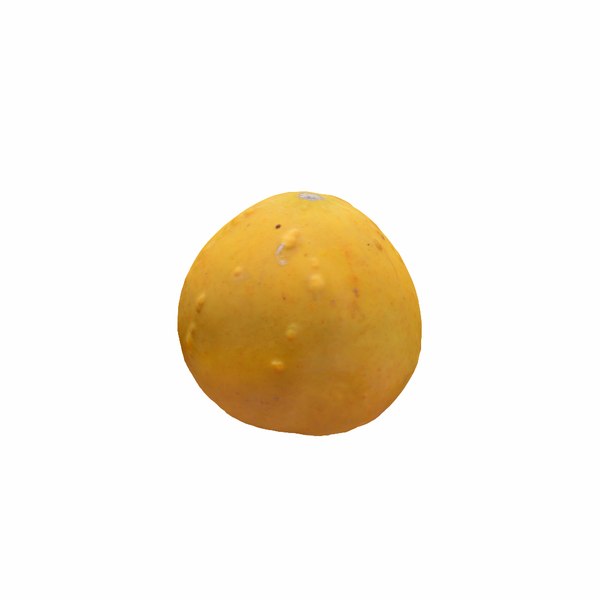 3D scan pumpkin - TurboSquid 1227227