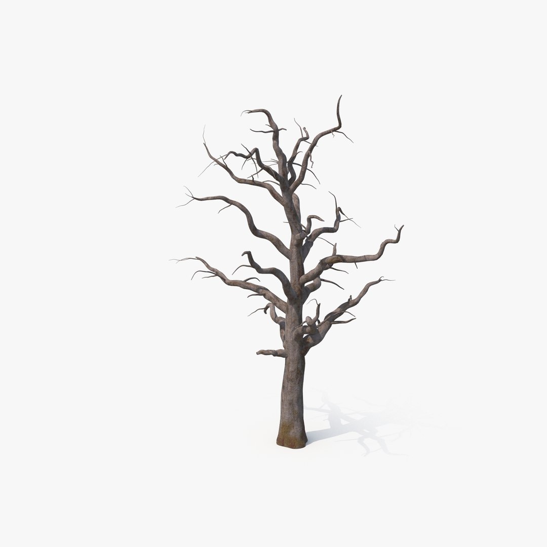 3D Dead Tree - TurboSquid 1464090
