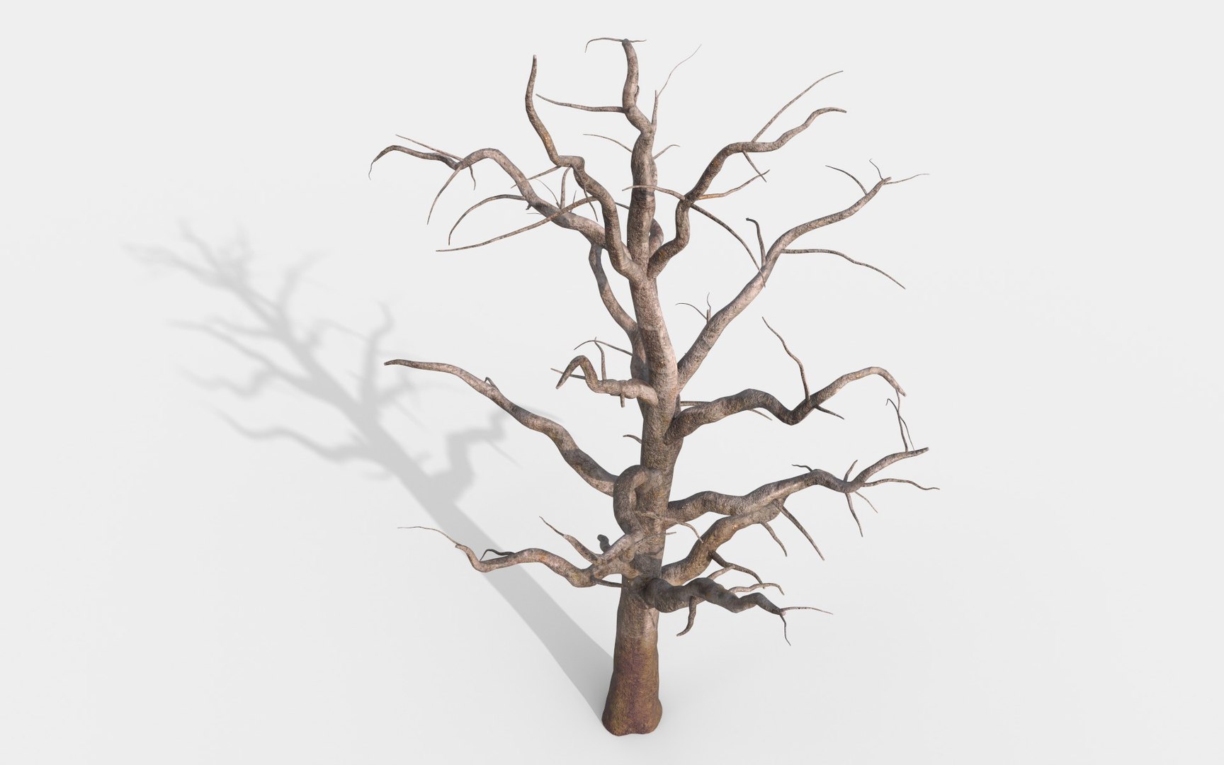 3D Dead Tree - TurboSquid 1464090