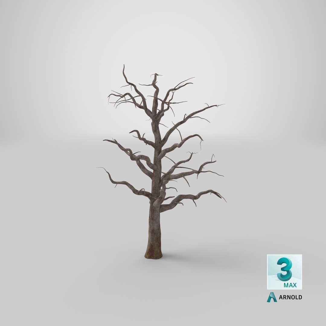 3D Dead Tree - TurboSquid 1464090