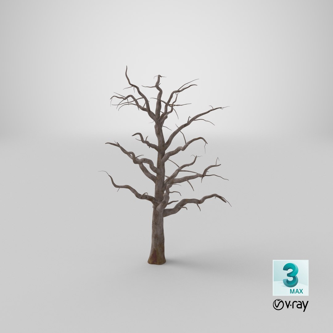 3D Dead Tree - TurboSquid 1464090