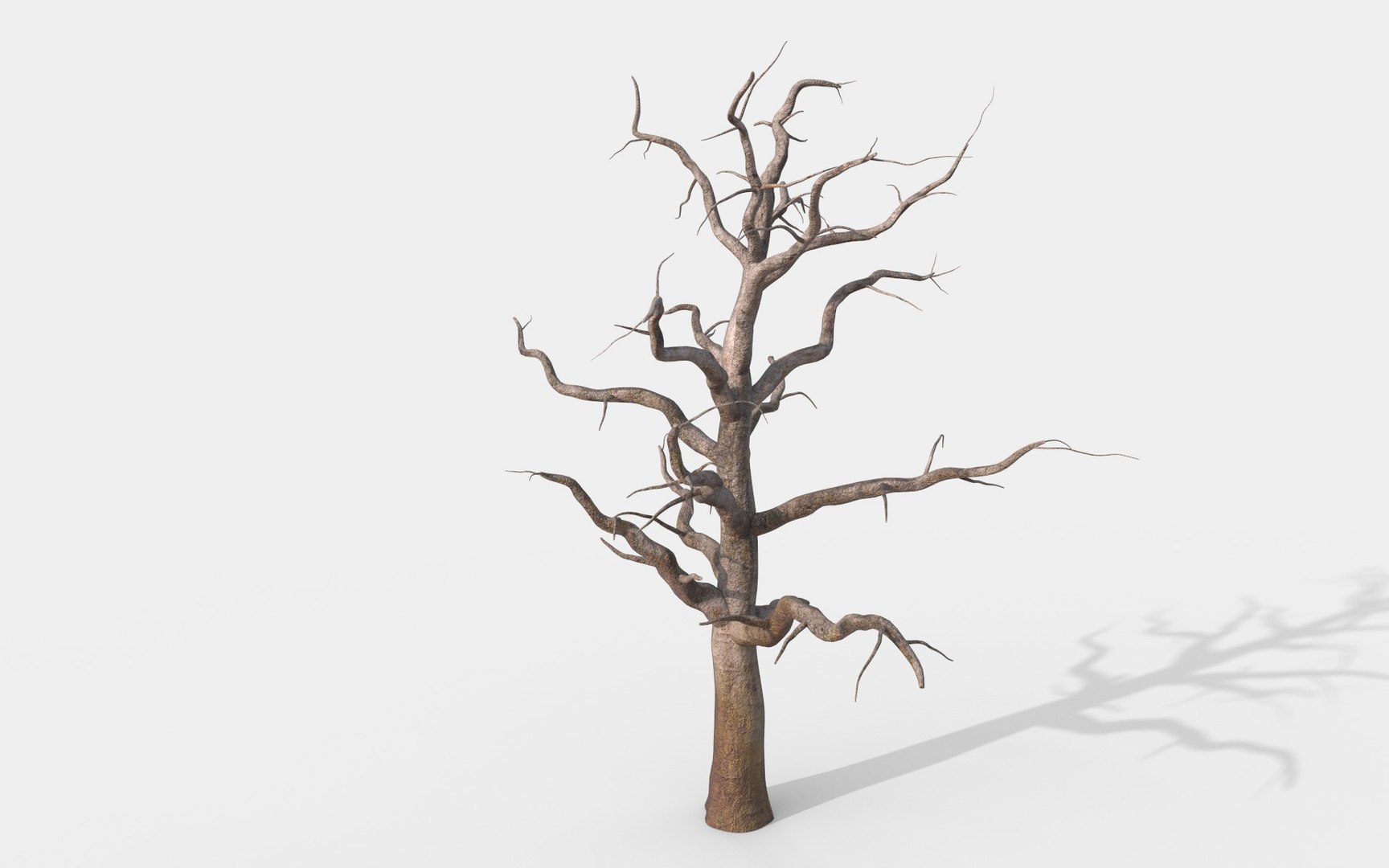 3D Dead Tree - TurboSquid 1464090