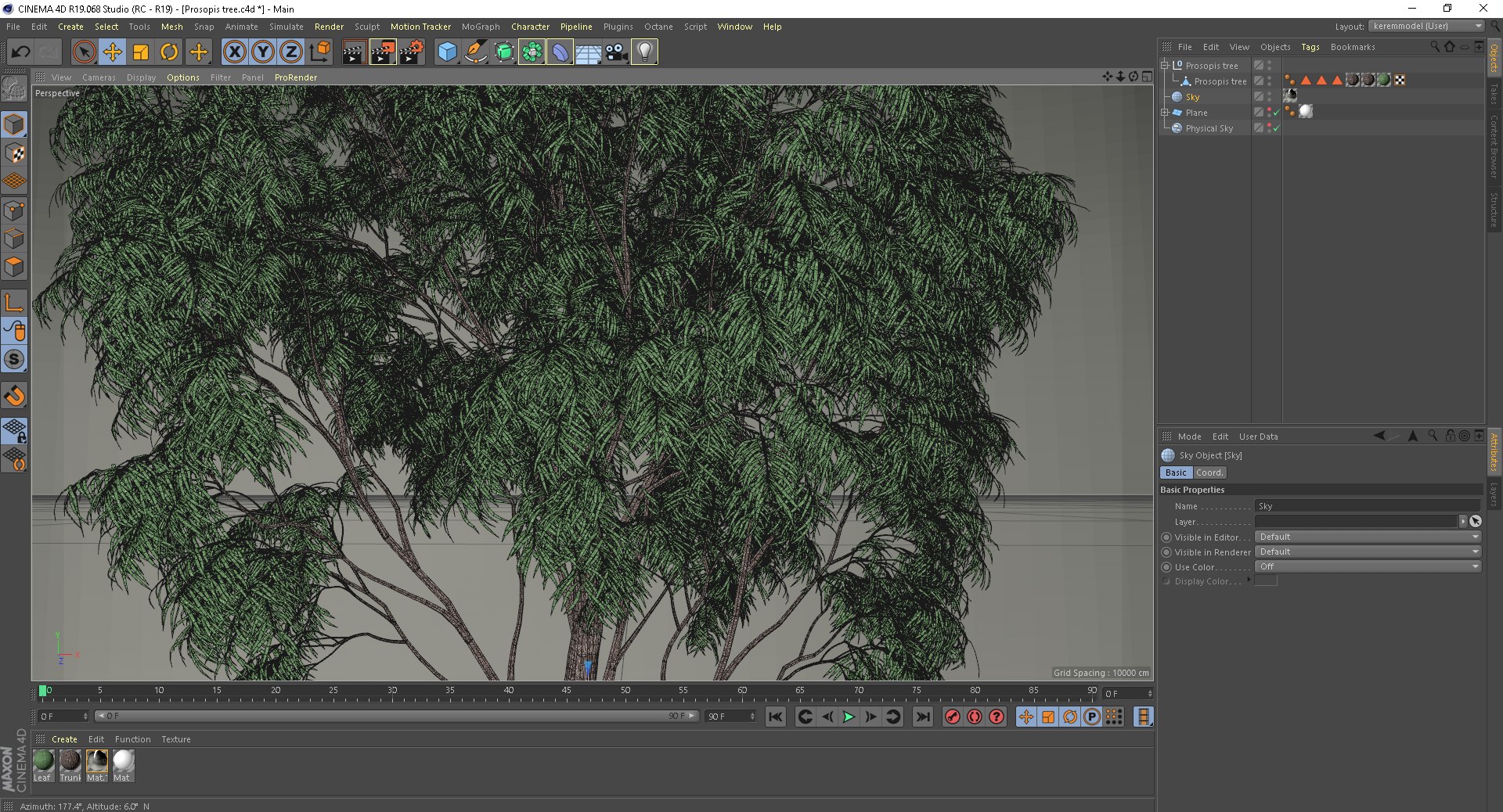 Prosopis Tree 3D Model - TurboSquid 1397848