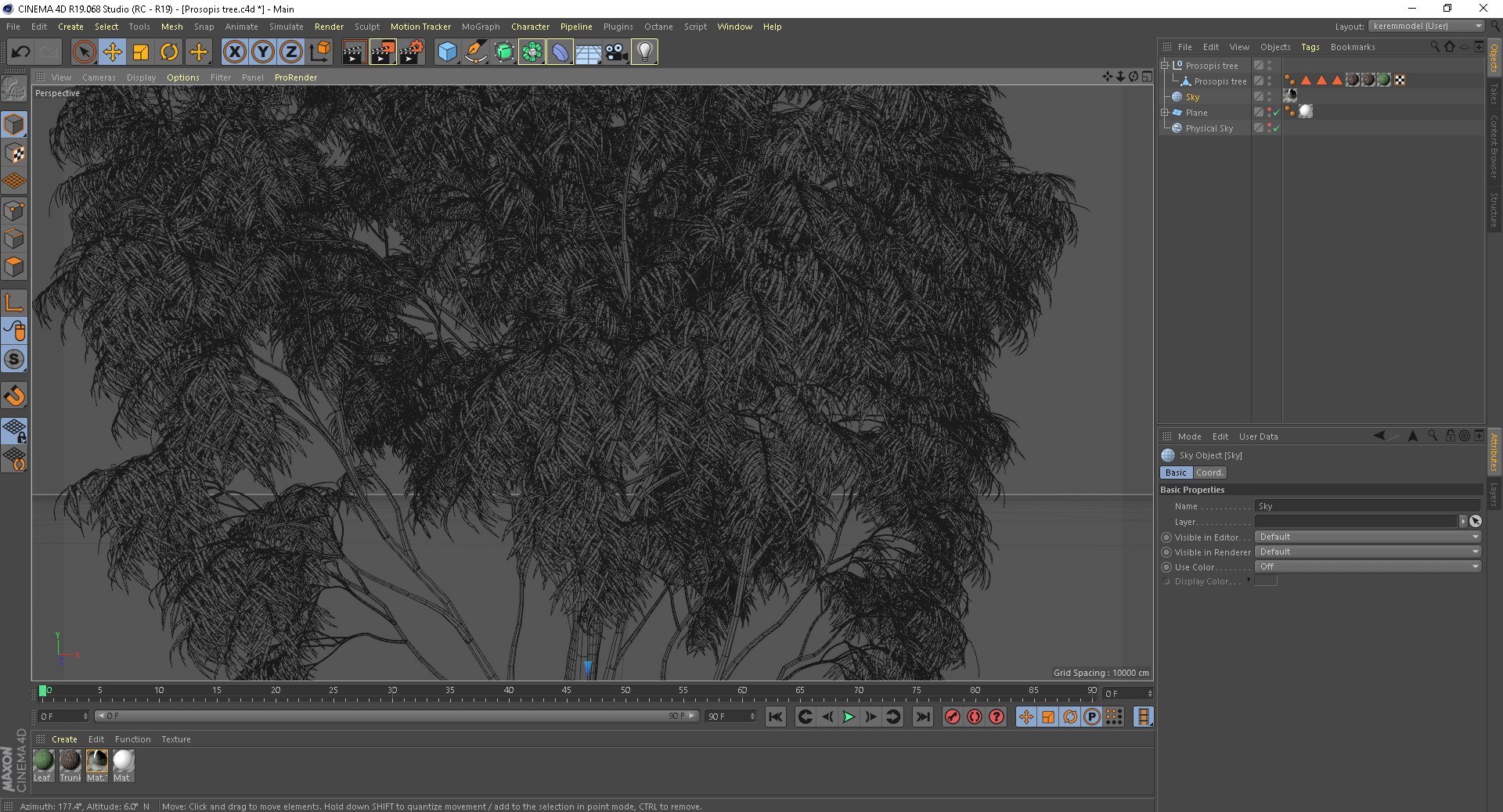 Prosopis Tree 3D Model - TurboSquid 1397848