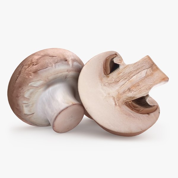 3D white button mushroom 05 model - TurboSquid 1665504