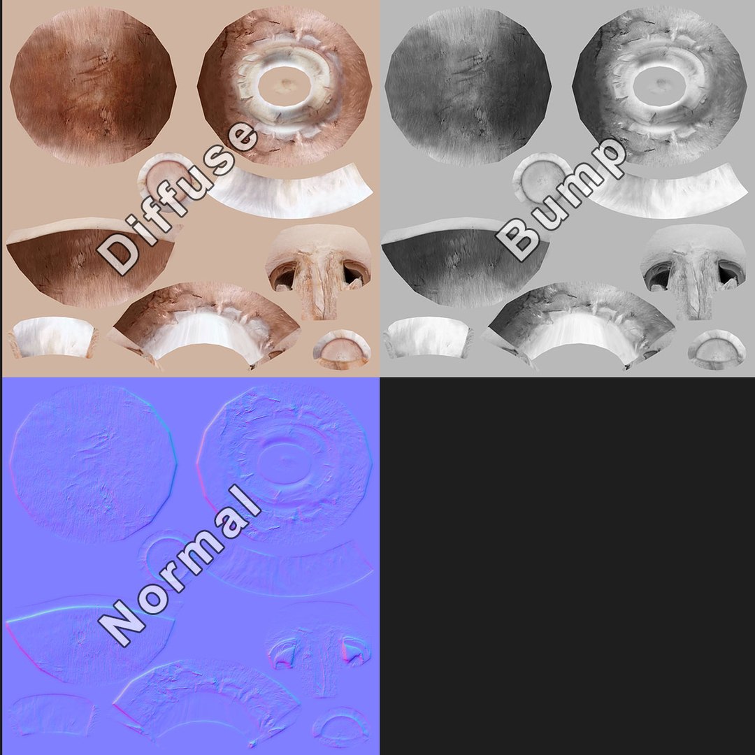 Common Mushroom 3D - TurboSquid 1184164