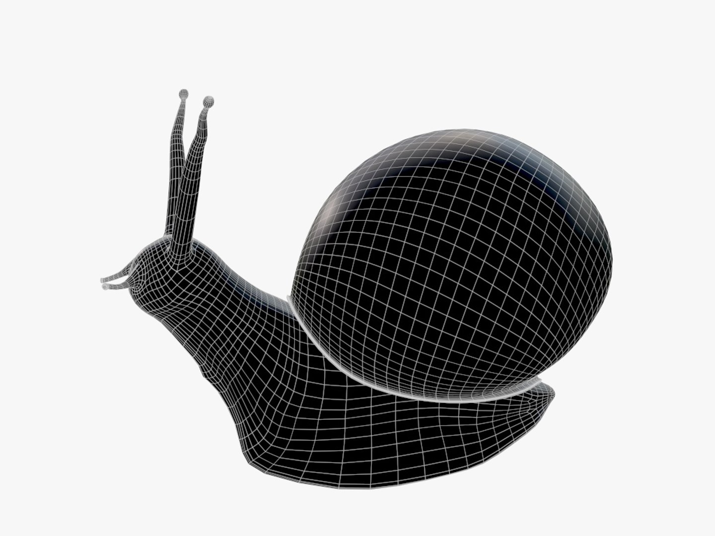 3D Metallic Shell Model - TurboSquid 1364013