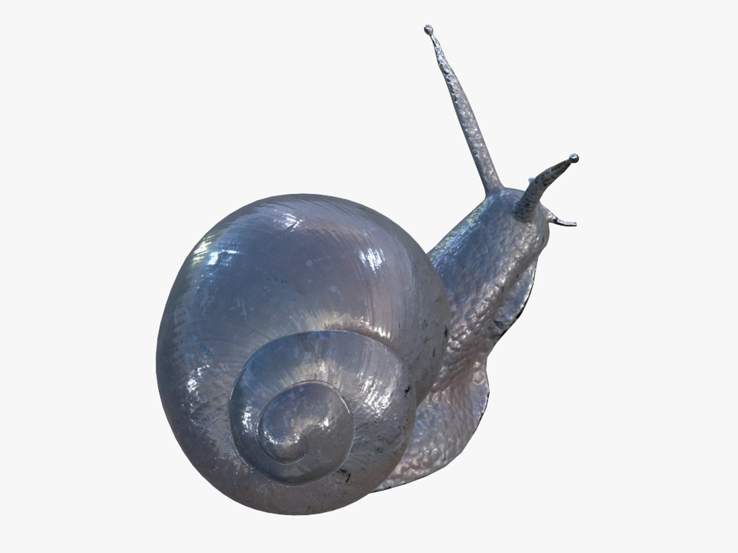 3D Metallic Shell Model - TurboSquid 1364013