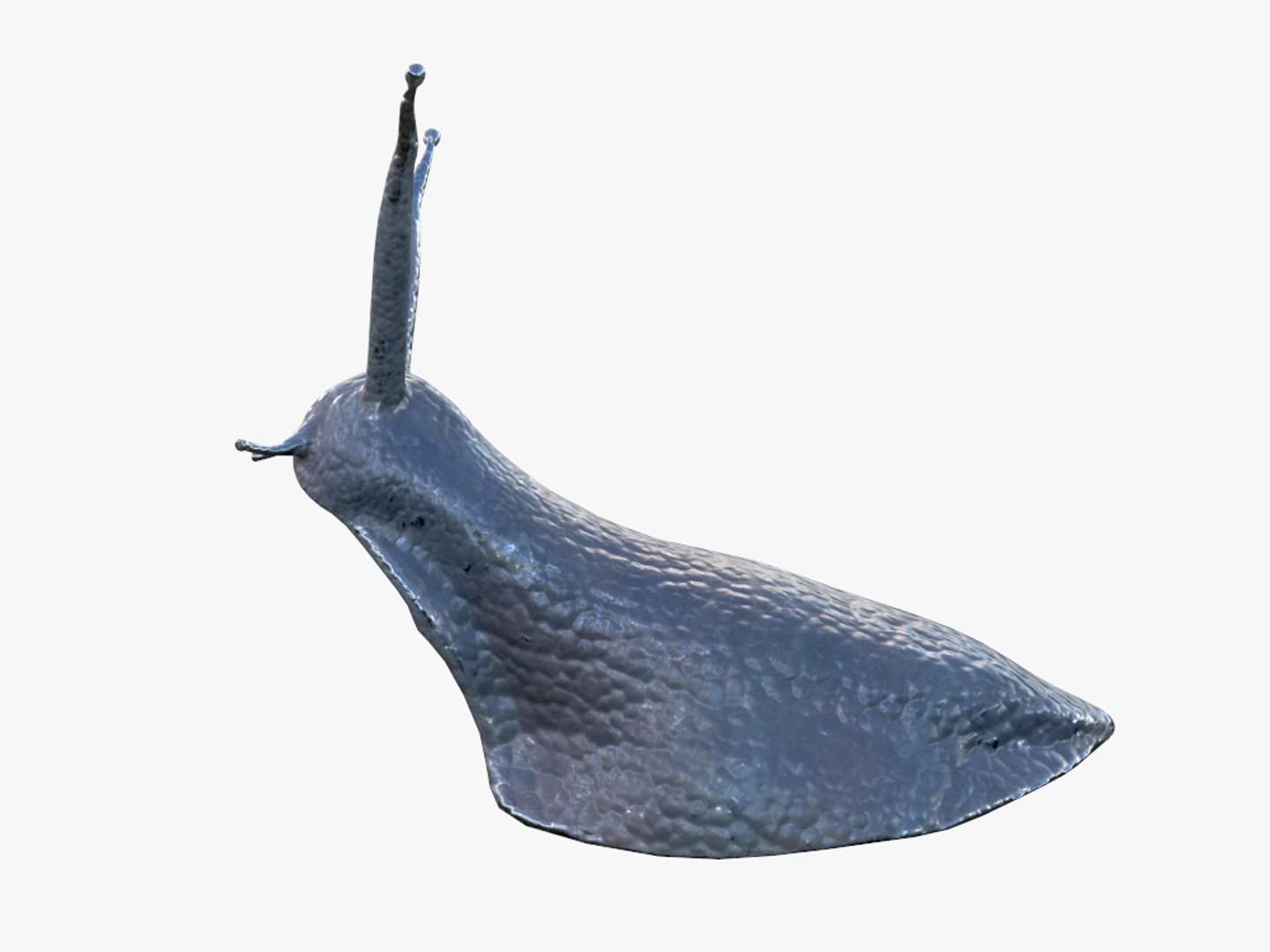 3D Metallic Shell Model - TurboSquid 1364013